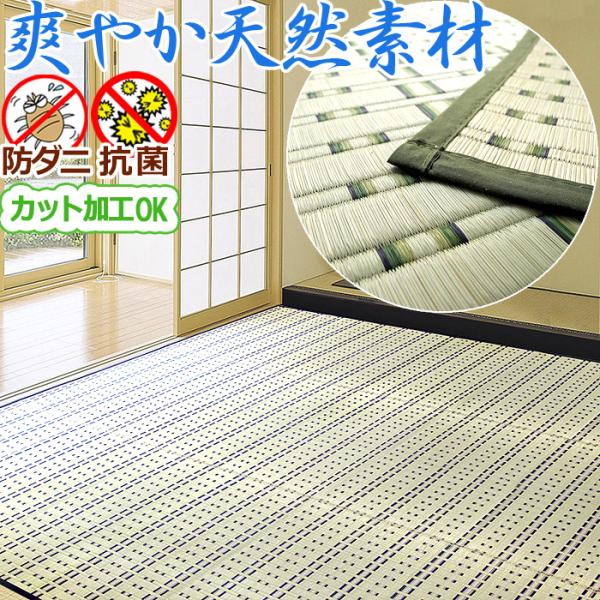 ★本州四国は送料無料★※1個口につき北海道・九州は送料500円,沖縄は送料2300円湿っぽい場所はカビが増殖しやすい環境となり, 防かび・抗菌などの機能を発揮できなくなります保管は湿気が無く通気性のある暗所がお勧め【カラー】ブルー・グリーン...