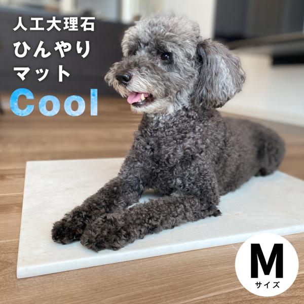電気不要で自然なひんやり感を人工大理石プレートです♪『送料無料』ペット用ひんやりマット　人工大理石55cm×45cm Mサイズ夏暑さ対策　ひんやりベット　冷感　夏対策犬用 猫用　エコ