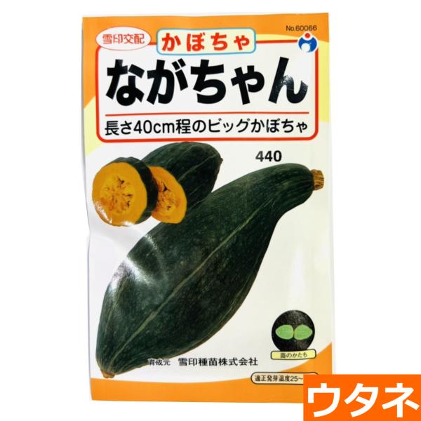 ※種のみのご注文の場合、ゆうパケットで発送させていただきます。※ご注文の際には、通常便を選択いただいて構いません。のちほど店舗より送料を訂正してお知らせさせていただきます。※他の商品と種を同時にご注文いただいた場合は、同時にご注文いただきま...