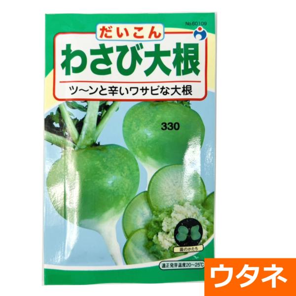 ・辛味の強い大根で根長10cm位、根経8cm程度の小型大根です。・表面、内部とも緑色で、大根おろしにするととても色鮮やかです。・タネ蒔きからおよそ30〜40日程度で収穫可能です。・作り易く、深めのプランター等でも手軽に栽培できます。【数量】...