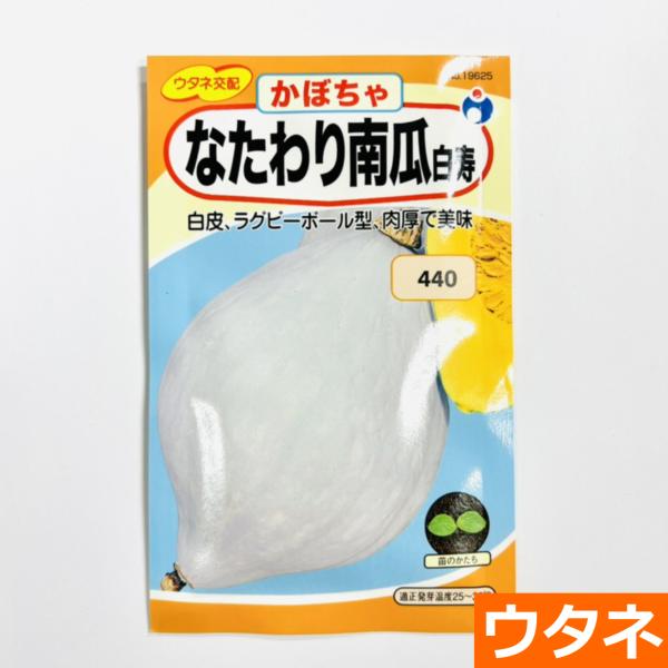 ・草勢旺盛で病気に強く、家庭菜園でも手軽に作れる晩生種です。・果重2kg位でラグビーボール型のかぼちゃ。白皮で硬く日持ちします。・果肉は黄色で極めて厚く、極粉質でホクホク感が強いです。・開花後、55〜60日が熟期の目安です。●適正発芽温度2...