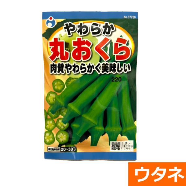 ・やわらかく莢の長さ8〜15cmまで収穫可能な丸オクラです。・特有のネバリと香気を有し、ビタミンB等を大量に含んだ栄養満点の野菜です。・草丈がやや高いですが、家庭菜園向きの丸オクラです。●発芽日数14日位●適正発芽温度20-30度●数量7m...