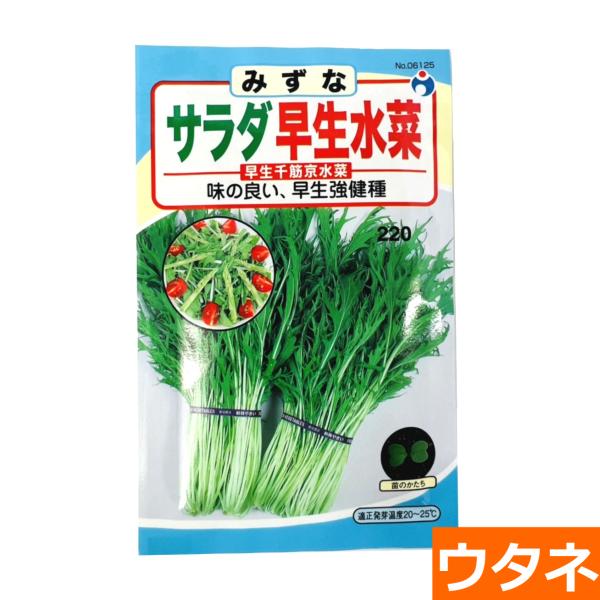 ・鮮緑色の細葉で葉緑に多数の欠刻があり、葉軸は白く極細で株張り、株揃い良好です。・分けつ力も旺盛で小〜中株どり専用種、周年栽培可能な早生種です。・特有の香りと歯ざわりの良さは格別で浅漬、煮食用として美味です。●適正発芽温度20-25度●数量...