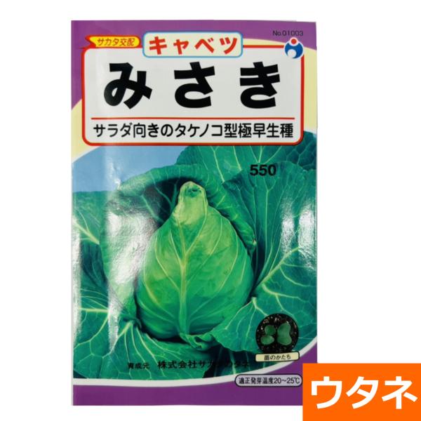 ・球型はたけのこ型で高品質の甘藍で、春蒔、夏蒔に適した極早生種です。・一球重1.2Kg位で揃い良く、緊りも抜群です。・葉肉やわらかく甘味あり食味良く、生食用に最適です。・病気に強く、栽培容易、密植が出来るため家庭菜園にも最適です。●適正発芽...