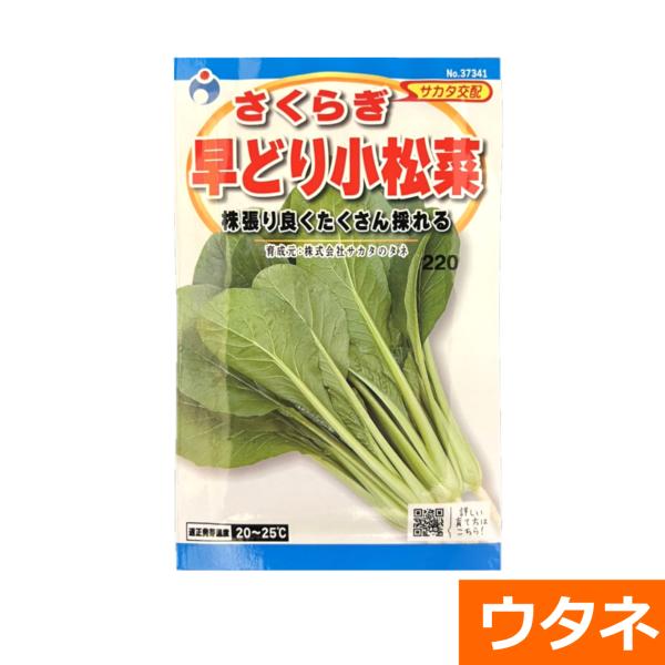 ・中早生で株張りが良く、たくさん収穫できます。・萎黄病や白さび病に耐病性があり、耐寒性、晩抽性、耐乾燥にも優れます。●まきどき・収穫時期(冷涼地)まきどき…3月下旬-9月上旬収穫時期…5月中旬-10月下旬(一般地)まきどき…通年収穫時期…通...
