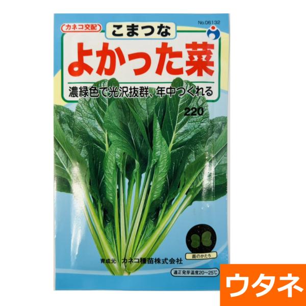 ・病気に強く、耐暑・耐寒性に優れ、周年栽培が可能な作り易い品種です。・葉色は濃緑色、葉身・葉柄共に光沢があります。・葉軸が太く、株張り良くボリュームがあります。●適正発芽温度20-25度●数量4ml●発売元ウタネ※種のみのご注文の場合、ゆう...