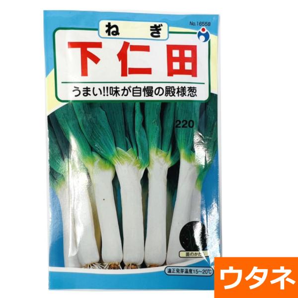 ・群馬県下仁田町で江戸時代より殿様への献上葱として作られている非常に美味な根深葱です。・病気に強く作り易く家庭菜園でも多収穫が得られます。・軟白部は20〜25cm、純白で太く、分けつもなく揃いも良好。・葉は濃緑で太く短く葉数は少なく葉肉は厚...