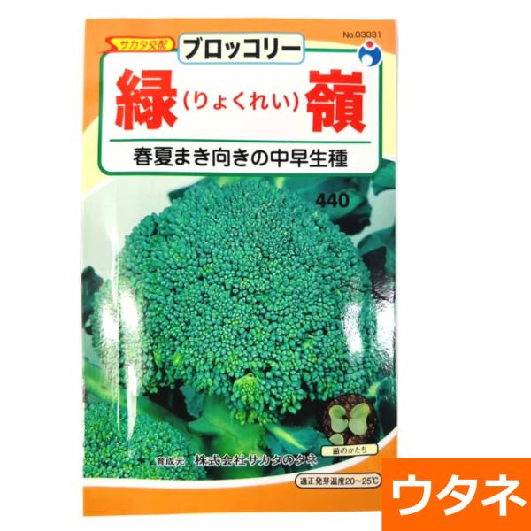 ・緑色の花ヤサイで、作り易く人気の高い優良種です。・性質強く、病気にも強く、家庭菜園で手軽に作れます。・花蕾は濃緑で形よく厚みがあり、よくしまっています。・主蕾を取った後も側枝から次々と花蕾が生じます。・栄養価が高く、特有の香りが有り、食味...