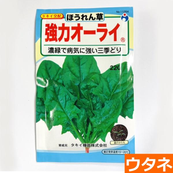 ・草勢旺盛で病気に強く、栽培容易でプランターでも手軽に作れる豊産種です。・葉は濃緑の広葉で肉厚く、２−３段に浅く切れ込みがあり、株張りと株揃いも優れています。・抽苔おそく耐暑・耐寒性も強く作型適応性の幅が広い品種。・ビタミン等栄養もタップリ...