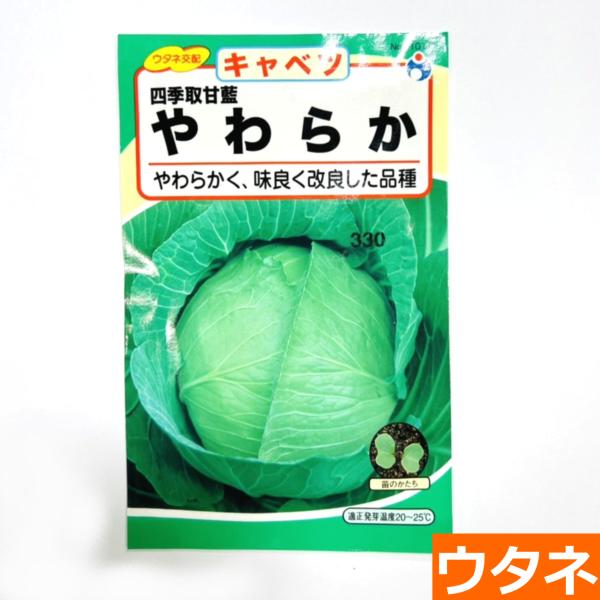 ・暑さ、寒さに強く四季を通じて栽培出来、作り方も容易で家庭菜園に最適のキャベツです。・球は美しい扁円球で重さ2kg内外、緊り揃い共抜群です。・今までの四季取のイメージを一新したやわらかさ、甘味は食味格別です。●適正発芽温度20-25度●数量...