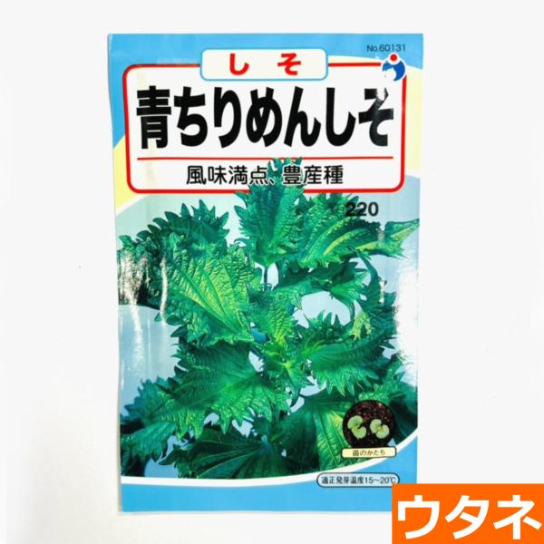 ・生育旺盛、作り易く、必ず大豊産となる優良種です。・家庭菜園に最適、プランター等で手軽に作れます。・葉は美しい緑色、葉面はチリメン状となります。・葉質は柔らかく一種独特の香りが有ります。・用途に応じ葉ジソ、穂ジソ、実ジソとして利用できます。...