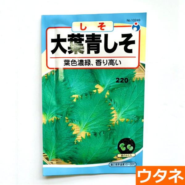 ・生育旺盛、作り易く、必ず大豊産となる優良種です。・家庭菜園に最適、プランター等で手軽に作れます。・葉は大きく濃緑で香り高く品質優秀です。・葉質はやわらかく、栄養素も豊富です。●適正発芽温度15-25度●数量4ml （発芽率：70%以上）●...