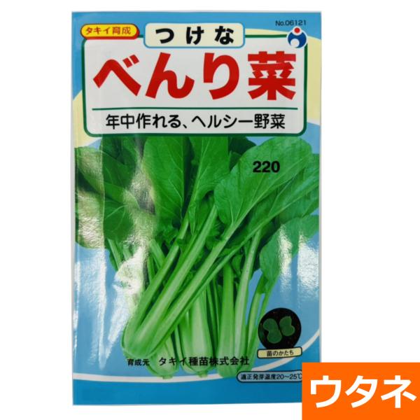 ・新しいタイプの有色野菜で、食味は抜群、煮食、漬物等に最適です。・草姿は立性、小松菜に似て葉は濃緑色で、やや長めの倒卵型、葉柄が倒れにくく、株張りも良好です。・四季を通して栽培出来、播種後35日頃から収穫できます。・家庭菜園に最適で、プラン...