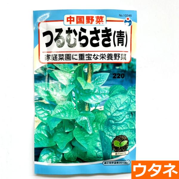 ・つる性の珍らしい野菜で、プランター、鉢等でも手軽に作ることが出来ます。・葉を食する野菜で鮮やかな鮮緑葉は柔らかく風味満点です。・葉は各節毎に次々と発生するので、長期間収穫可能です。・又盛夏には小さな花が咲き、観賞用としても見事です。●適正...