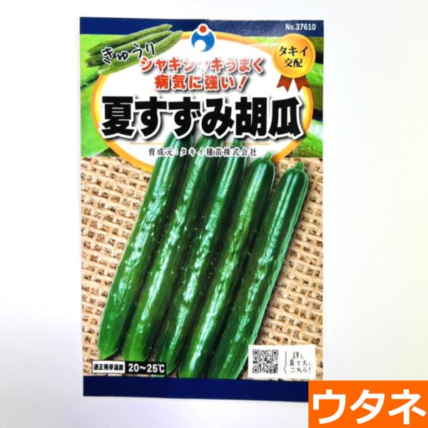 ・ベト病、うどんこ病に強く、家庭菜園で手軽に作れます。・果色は濃緑でテリがあり、果長21〜22cm位で、クズ果が少なく質の良い胡瓜です。・歯切れよく、サッパリとした味覚最高の夏秋胡瓜です。●適正発芽温度25-30度●数量1ml●発売元ウタネ...