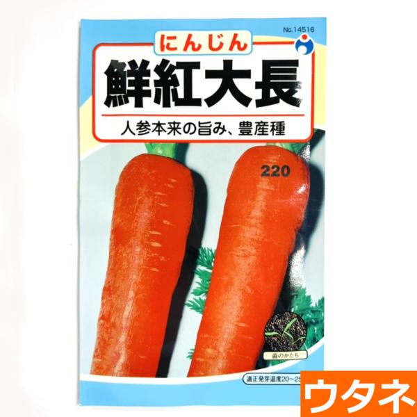 ・品質、収量、作り易さと三拍子揃った優良種です。・根は太く先端まで肉付きよく長さ50cm前後となります。・鮮明な赤色で、肉柔らかく甘味あり栄養価満点です。・間引の時の人参葉も美味しく栄養も豊富です。・家庭菜園に最適で、煮食、生食にも美味です...
