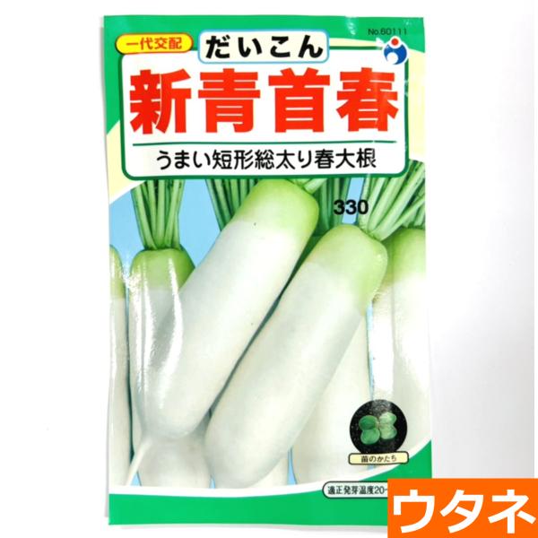 ・根長25cm内外の青首総太りの理想的な春大根です。・生育早く、抽苔も殆んどなく、作り易い家庭菜園向の優良種。・肉付きのよい尻太り型、曲りなく、ス入りなく揃いも良好。・肉質は緻密で甘味に富み煮食、漬物、おろし大根等にして風味は格別です。●適...