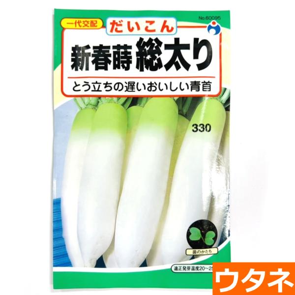 ・根身25cm内外、太さ10cm位の青首総太り大根です。・病気に強く、殆んど抽苔もせず、作り易く家庭菜園に最適。・根首は淡緑色、他は純白で肌美しく、揃いも良好です。・肉付きよく、ス入りもなく、肉質は緻密で甘味に富み煮食、漬物、おろし大根等に...