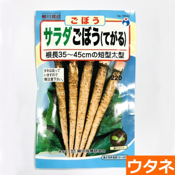 ・本種は草勢強く、耕土の浅い所でも栽培出来、掘り取りも簡単ですから、家庭菜園で手軽に作れます。・バケツ等の円筒型容器を利用しても栽培できます。・根長35〜45cm前後、白肌でキメ細かく、ス入り、肌荒れなく肉付良好、外観は見事です。・生育日数...