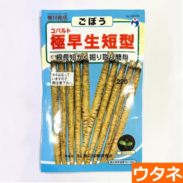 ・本種は草勢強く、耕土の浅い所でも栽培出来、掘り取りも簡単ですから、家庭菜園で手軽に作れます。・バケツ等の円筒型容器を利用しても栽培できます。・根長50cm前後、径2cm位、白肌でキメ細かく、ス入り、肌荒れなく、肉付良好、外観は見事です。・...