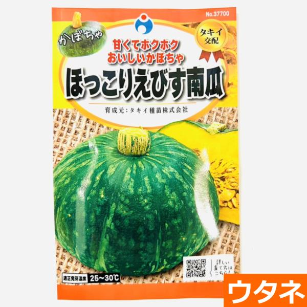 ・性質強く、ほとんどの土地で育ち、作り易く家庭菜園に最適の早生優良種。・生育早く、短い期間で多くの収穫が得られます。・果は濃緑に美しい淡緑色のチラシ斑が入り、揃いも良く外観見事です。・肉質は厚く鮮やかな黄橙色、栄養価も非常に高く、甘味風味も...