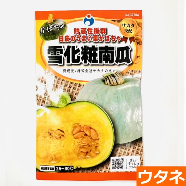 ・草勢強く、栽培容易な豊産種で家庭菜園でも手軽に作れる優良種です。・果実は1果2.3kg前後で扁円形、果皮は白色の新しいタイプの南瓜で外観見事です。・果肉は淡黄色、ゆでると鮮やかな黄色となり栄養も豊富で食味も最高です。●適正発芽温度20-3...