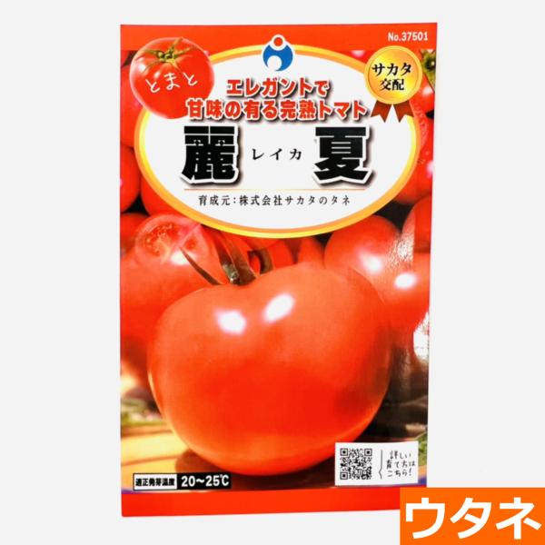 ・収量の多い早生種で、果は200〜230gで豊円形となり、果肉は濃桃色になります。・果肉の締りがよく、糖度が高くて美味です。・着果性に優れ、高温期の栽培でもよく着果します。・耐病性も強く、家庭菜園に最適の優良種です。●適正発芽温度20-25...