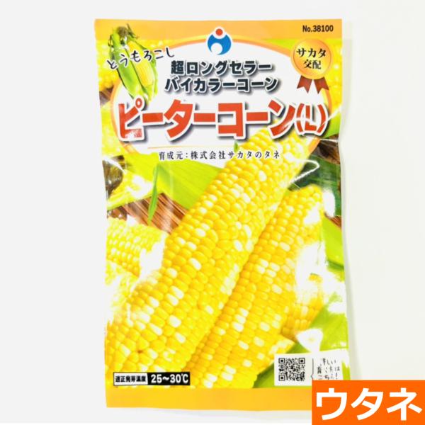 ・本種は黄色と白色の粒が3：1の割合に混じるタイプのスイートコーンで熟期は87日前後の中生種です。・生育旺盛で、草丈185cm前後、作り易く家庭菜園に最適です。・1株に1〜2本位着果しよく揃い、先端の着粒も抜群です。・粒皮柔らかく甘味強くて...
