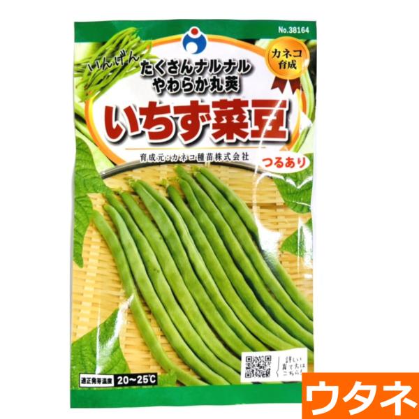 ・病気に強く長時間収穫出来る中早生のつる有菜豆です。・莢は長さ18〜20cmの鮮緑色、若干ふくらみをもった美しい丸長莢で、曲りも少なく、よく揃います。・すじなしで、表皮軟らかく、ゆであがりの色、食味がすぐれています。●適正発芽温度20-30...