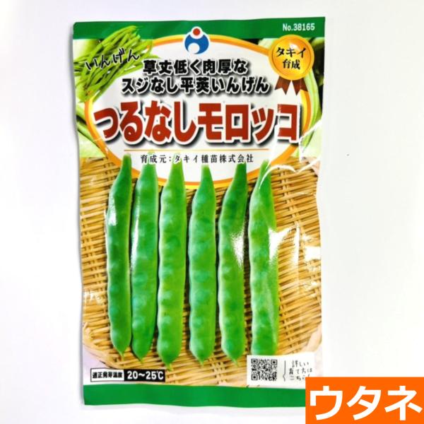 ・病気に強く、収量も多く、作り易いつる無平莢種で、家庭菜園にも好適の極早生種です。・莢の長さは14cm位の濃緑色、幅は約1.8cm位の広幅です。・スジがなく柔らかで品質は最高、栄養価も高く食味は抜群です。●適正発芽温度20-30度●数量20...