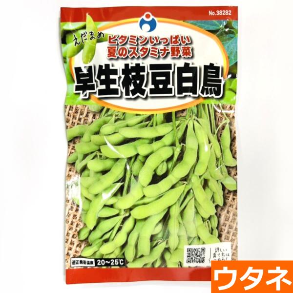 ・本種は着莢数多く、豊産の早生種で栽培も容易、家庭菜園に好適の優良種です。・草丈は60cm内外となり、生育旺盛です。・莢は緑色が濃く、3粒莢が多く品質優秀です。・豆は小粒で未熟な間に収穫すれば新鮮で風味は最上です。●適正発芽温度20-30度...