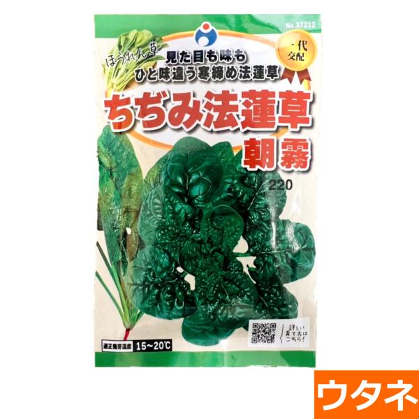 ・葉が幅広く欠刻なく、濃緑で肉厚です。・夏まきは8月からの作型に十分利用出来ますが、ちぢみ法蓮草としては秋蒔きが最適です。・作り易く、収量も多く、家庭菜園に最適です。・寒さ（4度以下に10日間以上）にあてることで甘味の増したちぢみ法蓮草がで...