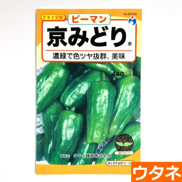 ・ビタミンC等を多く含んだ栄養野菜で、作り易く、家庭菜園に好適の優良品種です。・性質強く、盛夏期も成りづかれせず、秋まで収穫が可能です。又分枝の発生が多く多収穫が得られます。・果実は目の覚める様な鮮緑色で型も良く揃います。・プランター、木箱...