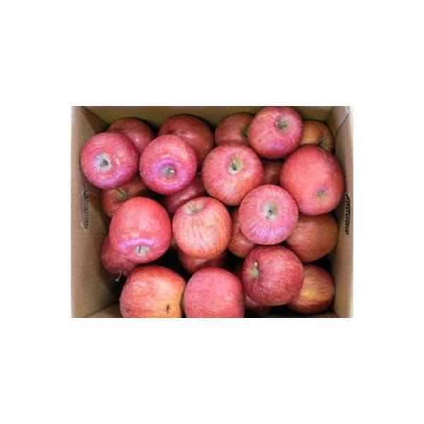 今年も蜜入りの期待大！太陽の恵みを受けた外成りが多い格外品（キズ・色ムラ）！◆内　  容◆ご家庭用訳あり(キズ有り)  福島産サンふじリンゴ 約10ｋｇ前後※大小混合、キズリンゴの為、贈答には不適です。※蜜入りの度合いは個体差があります。◆...