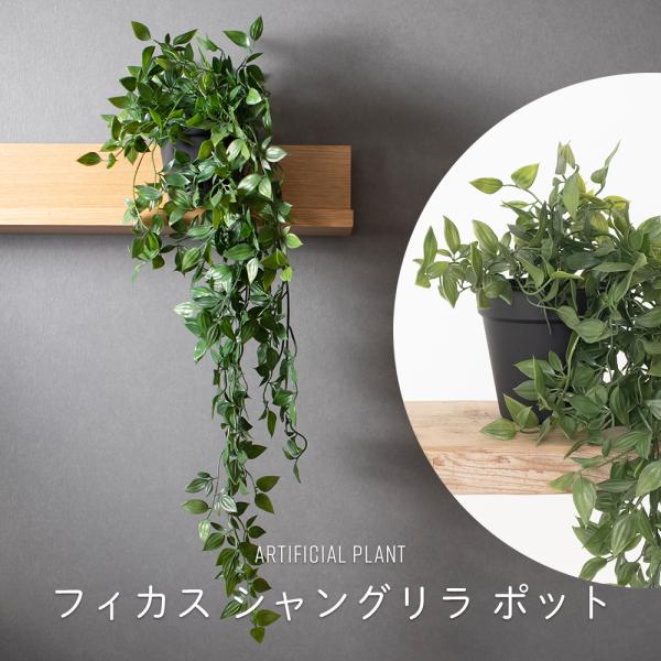 フェイクグリーン 卓上 小型 鉢付き 鉢 リアル 人工観葉植物 造花 ツル ツタ 蔦 つた インテリア おしゃれフィカスシャングリラ（ツル性ガジュマル）きれいなグリーン一色のスッキリとした葉、インテリアコーディネーターにも人気の植物。■商品...