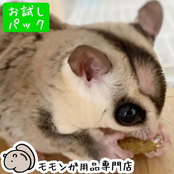 　　　ヘ＿ヘ　 _( ・ω・) ＜ももんがもんもん共和国でーす　ヽ　　　フ　/＿ _＿/　　(_)当店はフクロモモンガ用品の専門店です。「フクモモ専用フード（エサ・おやつ）」「寝袋ポーチやハンモック」「爪切りのペースを減らせる爪とぎアイテム...