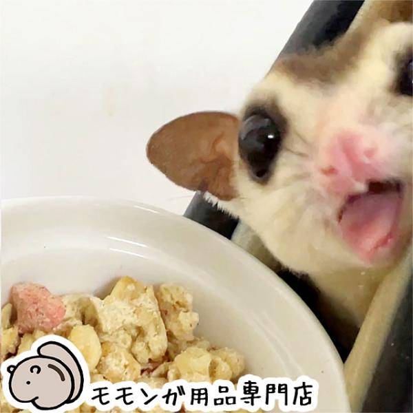 　　　ヘ＿ヘ　 _( ・ω・) ＜ももんがもんもん共和国でーす　ヽ　　　フ　/＿ _＿/　　(_)当店はフクロモモンガ用品の専門店です。「フクモモ専用フード（エサ・おやつ）」「寝袋ポーチやハンモック」「爪切りのペースを減らせる爪とぎアイテム...