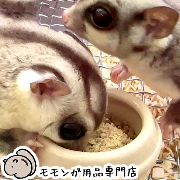 　　　ヘ＿ヘ　 _( ・ω・) ＜ももんがもんもん共和国でーす　ヽ　　　フ　/＿ _＿/　　(_)当店はフクロモモンガ用品の専門店です。「フクモモ専用フード（エサ・おやつ）」「寝袋ポーチやハンモック」「爪切りのペースを減らせる爪とぎアイテム...