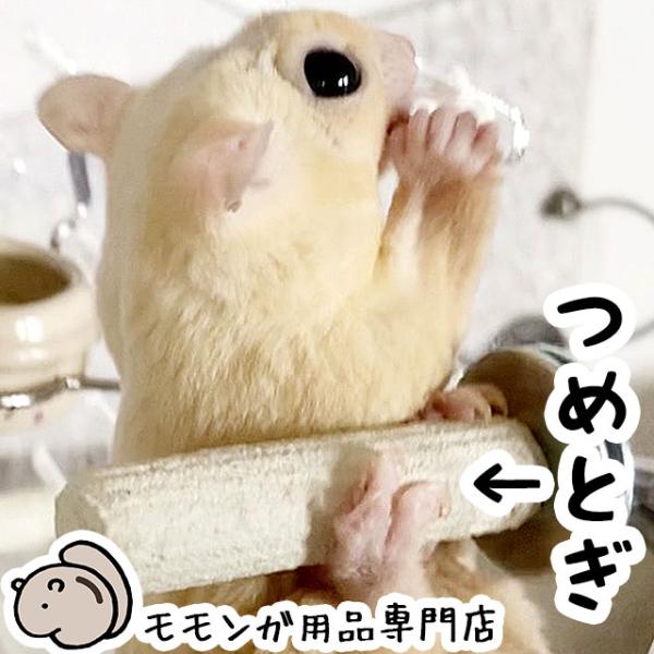 　　　ヘ＿ヘ　 _( ・ω・) ＜ももんがもんもん共和国でーす　ヽ　　　フ　/＿ _＿/　　(_)当店はフクロモモンガ用品の専門店です。「フクモモ専用フード（エサ・おやつ）」「寝袋ポーチやハンモック」「爪切りのペースを減らせる爪とぎアイテム...