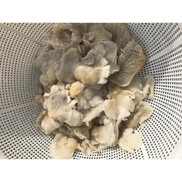 【発売日：2022年10月29日】猟師じゃないと採れない天然物カヌカ。クマの有害駆除などで深い山に入る猟師だけが採れるきのこです。本かぬかは最高の香りが出ます。炊き込みご飯、和え物、お吸い物として料理すると香りを存分に楽しめます。肉類との相...