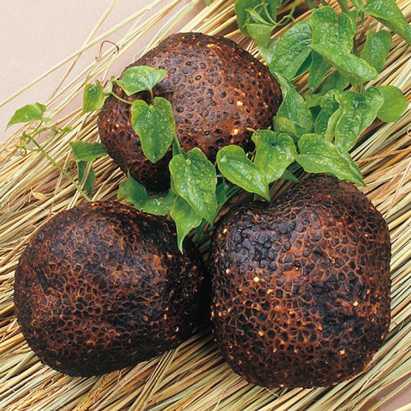 江戸時代より品質改良重ね栽培され、素朴な風味と栄養に富むことから“芋類の王様”と賞賛される丹波篠山特産「山の芋」。皮を剥くと、中は純白できめ細やか、ねばりがどの芋よりも強く、粘りの割にはアクが少ないのが特徴。一般的な山芋同様、とろろ汁・吸い...