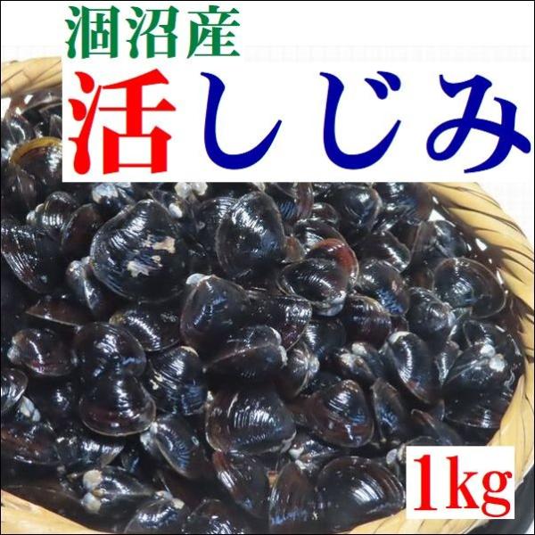 涸沼のしじみは、大洗から太平洋の海水が涸沼に入って来ているため、味が凝縮されており、味が濃く栄養価の高い効能効果のある食品と言われています。涸沼のしじみは手作業で漁をしています。舟からあがってきたしじみを新鮮なままお届け致します。※しじみは...