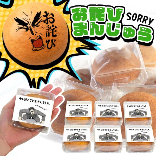 遅刻や、飲み会での失敗、チームに掛けた迷惑は数知れず。仲間に『ごめんなさい』をしなければならない場面があります。そんな時こそ、このお菓子。ここまで誠意とユーモアのこもった、お詫び用お菓子はおそらく世界初でしょう。江戸時代から続く、京都の老舗...