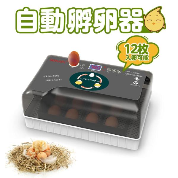 【発売日：2026年07月07日】★自宅で手軽に孵化観察ができる、鳥類専用の自動孵卵器です。★鶏卵は約12個、アヒル卵は約9個、ガチョウ卵は約4個、鳩卵は約24個、うずら卵は約35個まで対応可能です。★約30〜40℃の温度調整に対応し、温度...
