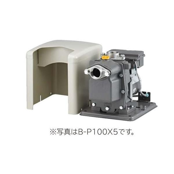 家庭用井戸ポンプ 日立 特殊ポンプ B P100X 6 BP100X6 B-P100X BP100X☆☆商品購入に関する重要なお知らせを掲載しております。☆☆【パソコン版の場合】商品ページ下部の「商品説明」の内容☆【スマートフォン版の場合】...