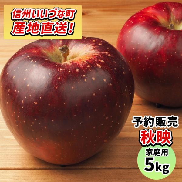 長野県飯綱町産 リンゴ  初物直送！ りんご 秋映 家庭用 訳あり