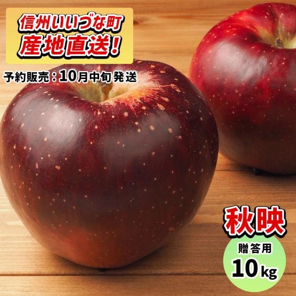 長野県飯綱町産 リンゴ  初物直送！ りんご 秋映 贈答用