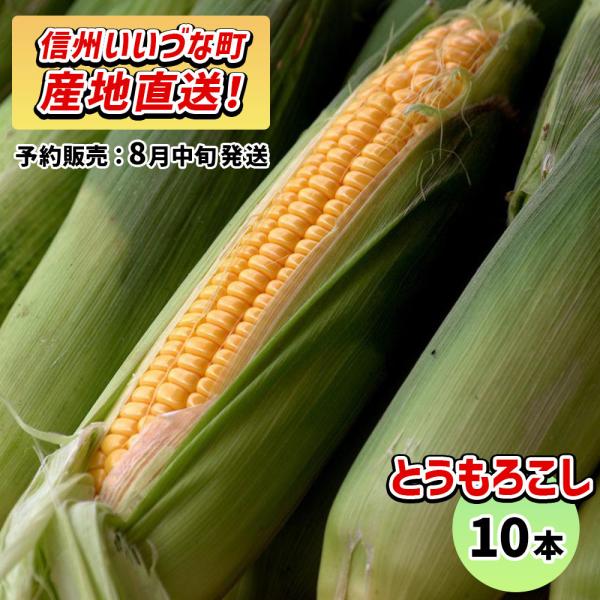 長野県飯綱町産 とうもろこし 初物直送