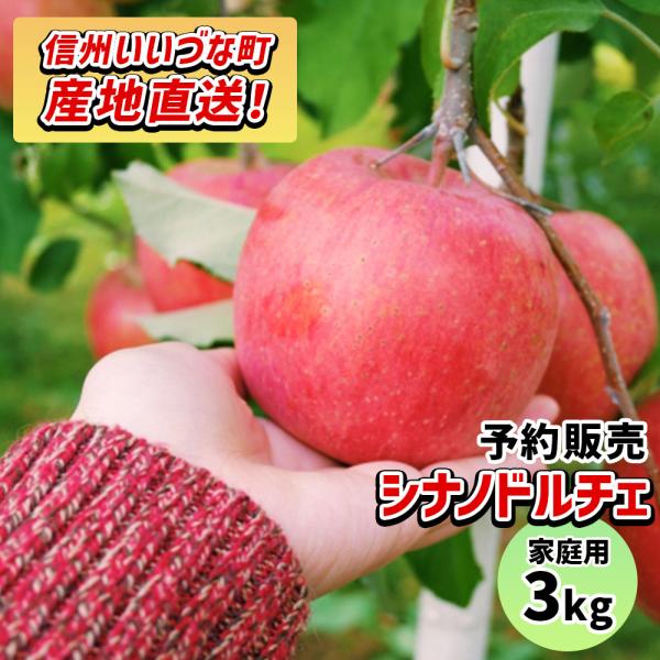 長野県飯綱町産 リンゴ  初物直送 りんご シナノドルチェ 家庭用