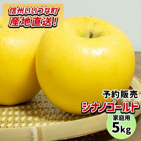 長野県飯綱町産 リンゴ  初物直送 りんご シナノゴールド 家庭用